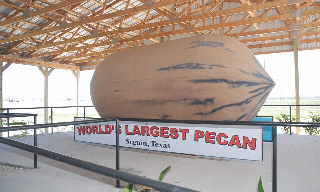 March 2015 Archives - Pecan South MagazinePecan South magazine | The ...