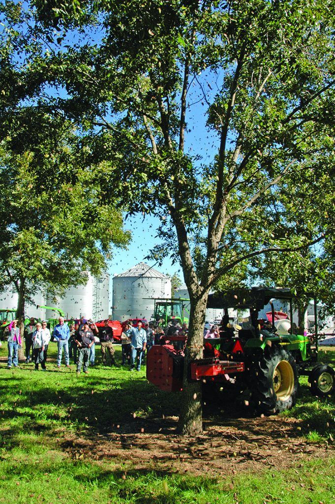 Northern Growers Tour Voss Pecans in Illinois - Pecan South ...