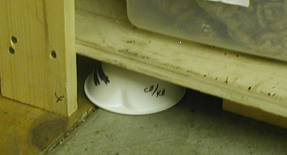 Stored-Product Insect Pheromones, Traps Provide Warnings of Potential ...
