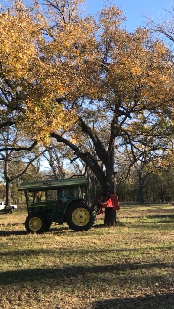 A Salute to the American Pecan Farmer - Pecan South MagazinePecan South ...