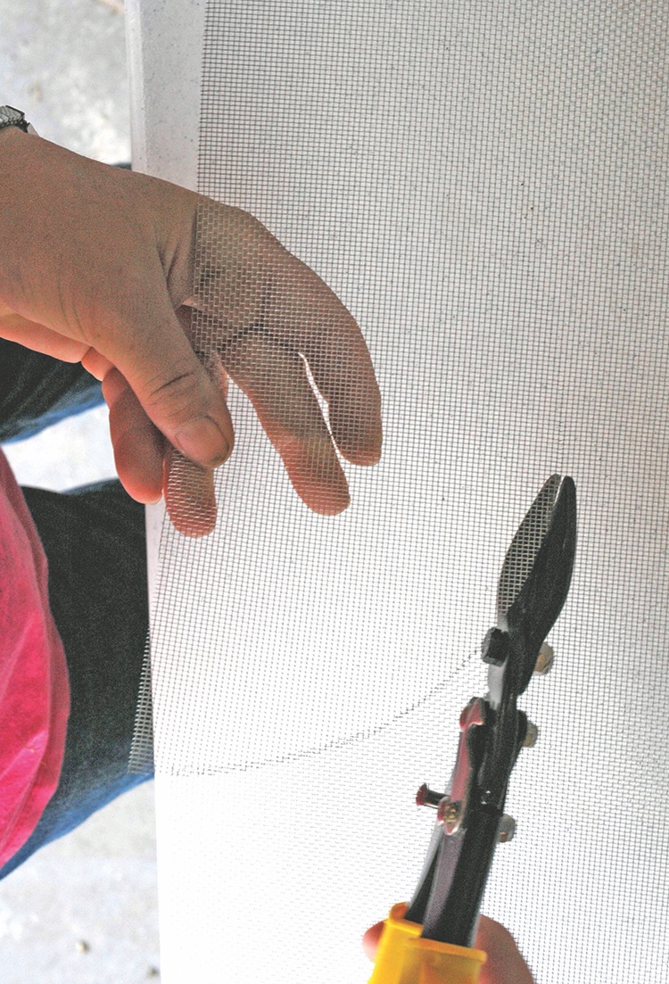 Building Pecan Weevil Circle Traps - Pecan South MagazinePecan South ...