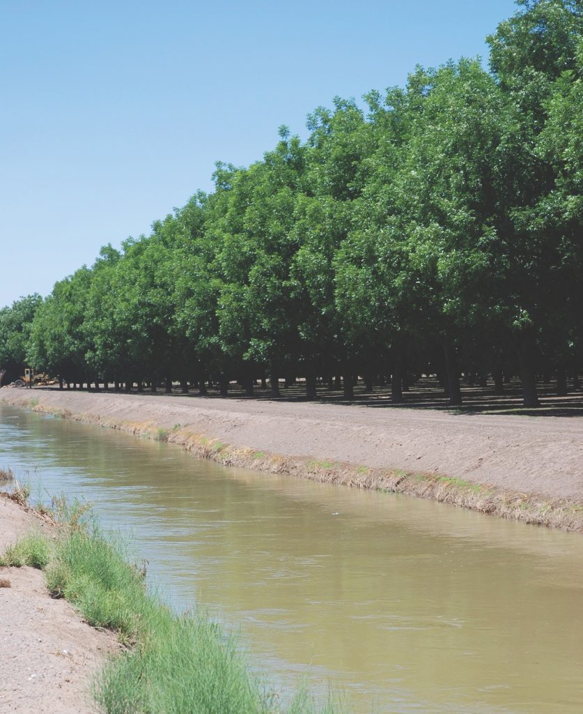 Deep Percolation—One of Irrigation Water's Forgotten Fates - Pecan ...