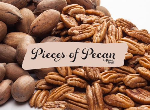 Pieces of Pecan - Pecan South MagazinePecan South magazine | The pecan ...