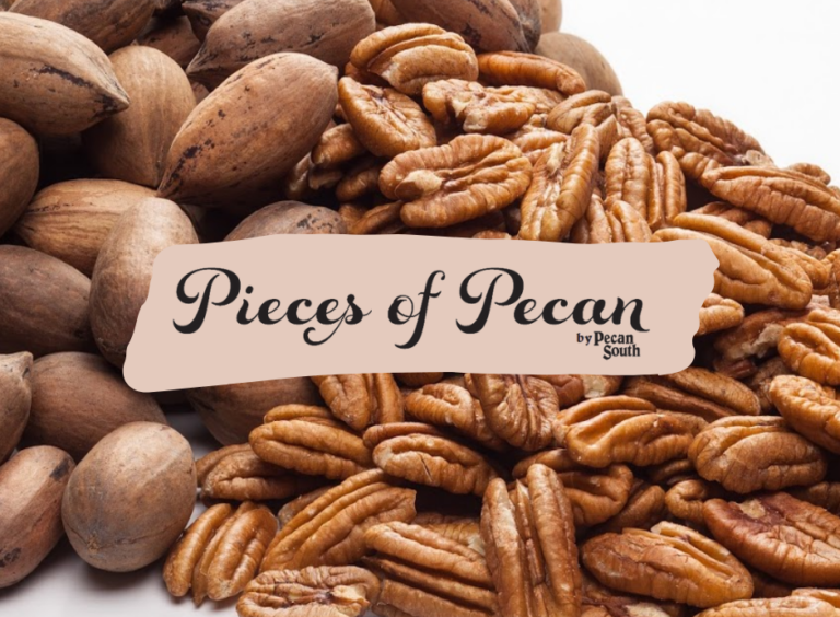 Pieces of Pecan - Pecan South MagazinePecan South magazine | The pecan ...