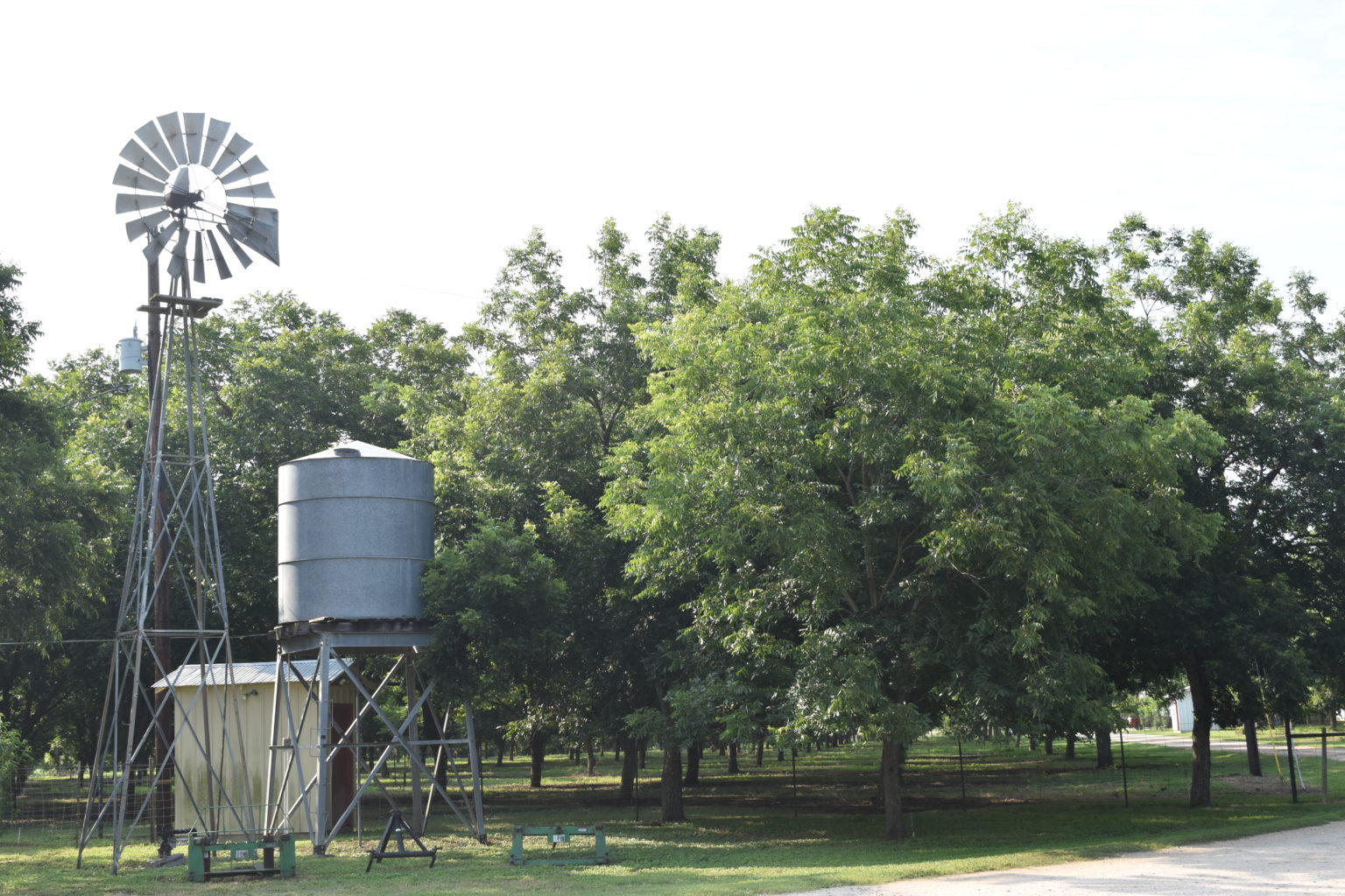 Texas Growers Get Opportunity to Set Priorities - Pecan South ...