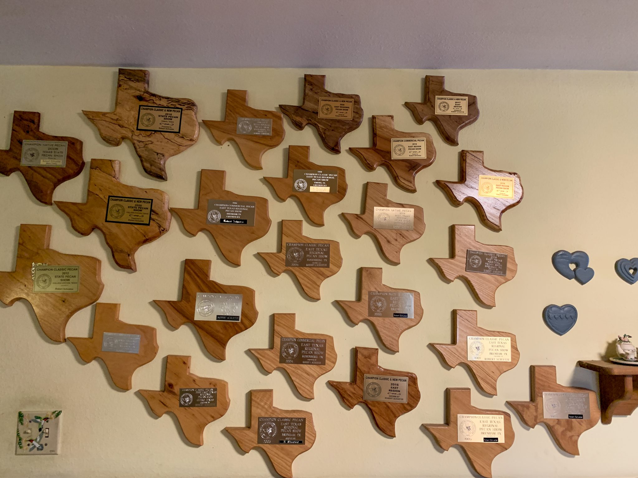 A "Nutty Hobby" Becomes an Award-Winning Pecan Orchard - Pecan South ...