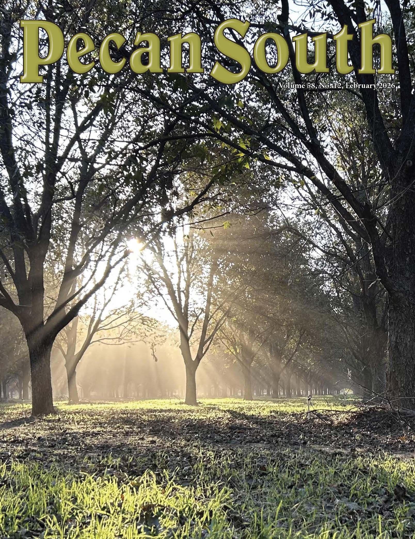 Letter from the editor - Pecan South MagazinePecan South magazine | The ...